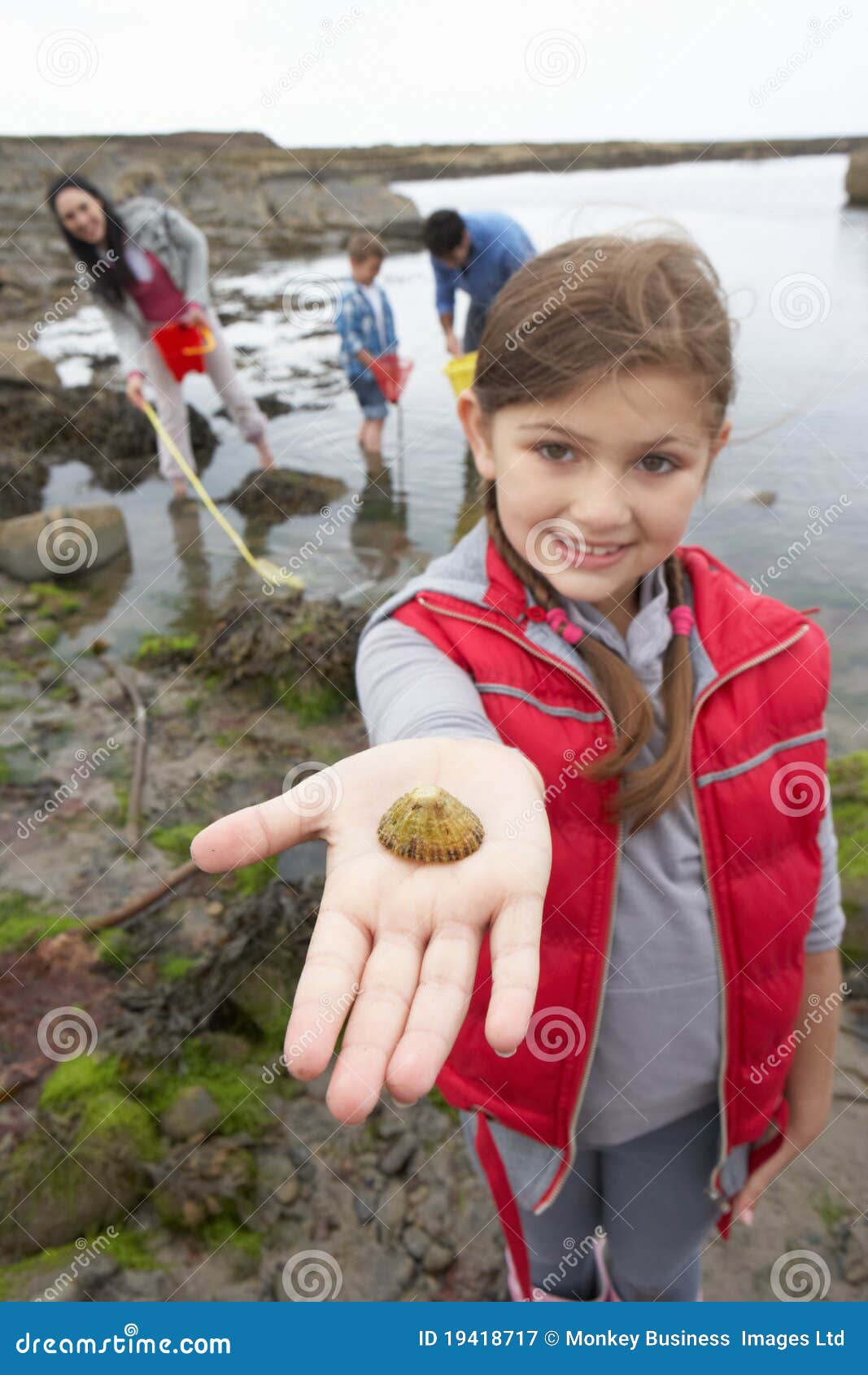 Young Family at Beach Collecting Shells Stock Image - Image of camera ...