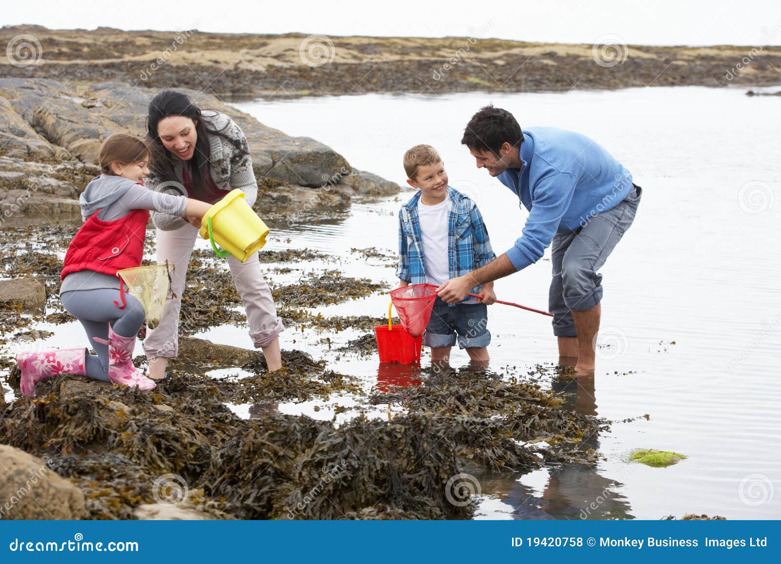 Young Family at Beach Collecting Shells Stock Photo - Image of harmony ...