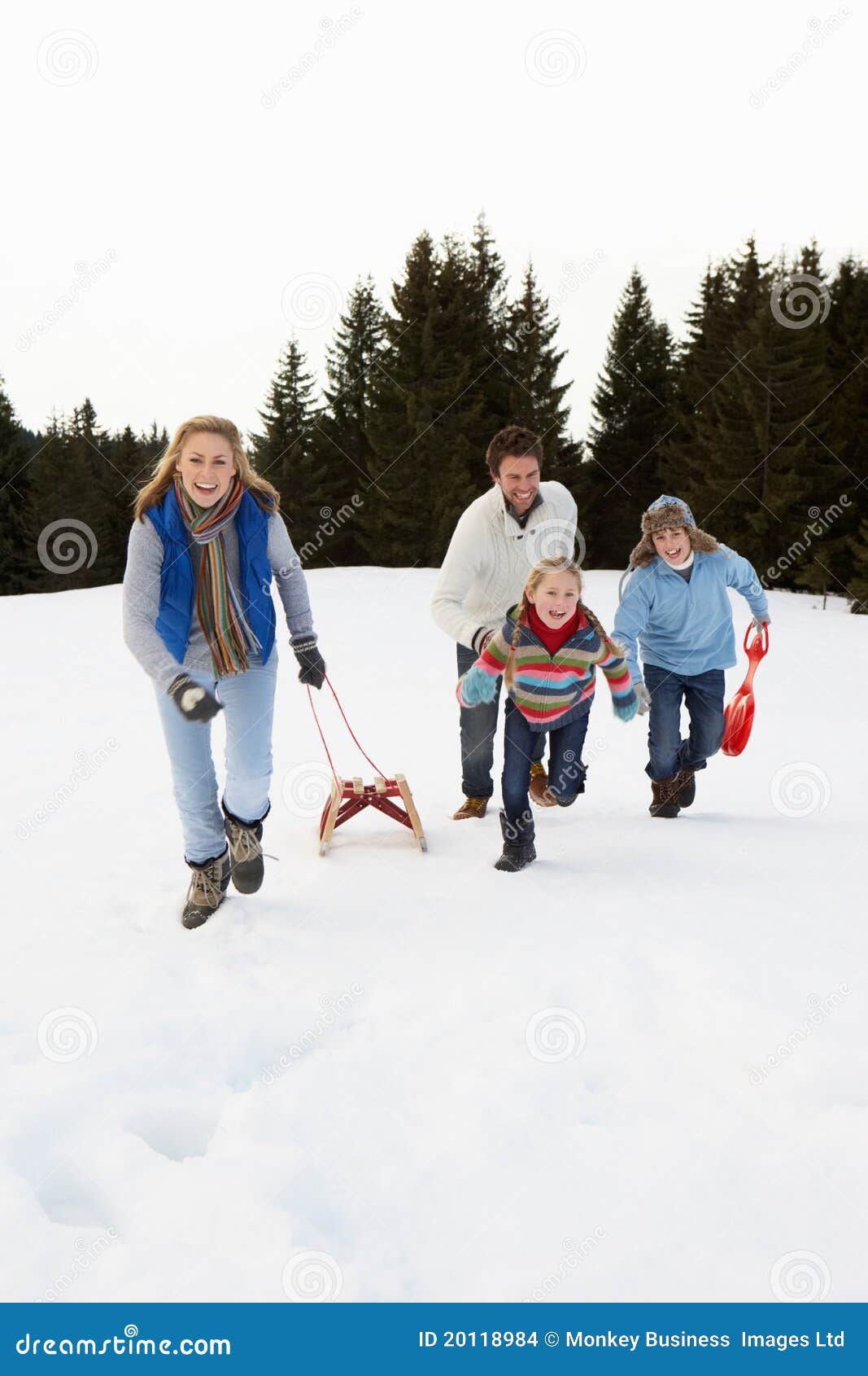 Young Family Running through Snow with Sled Stock Photo - Image of ...