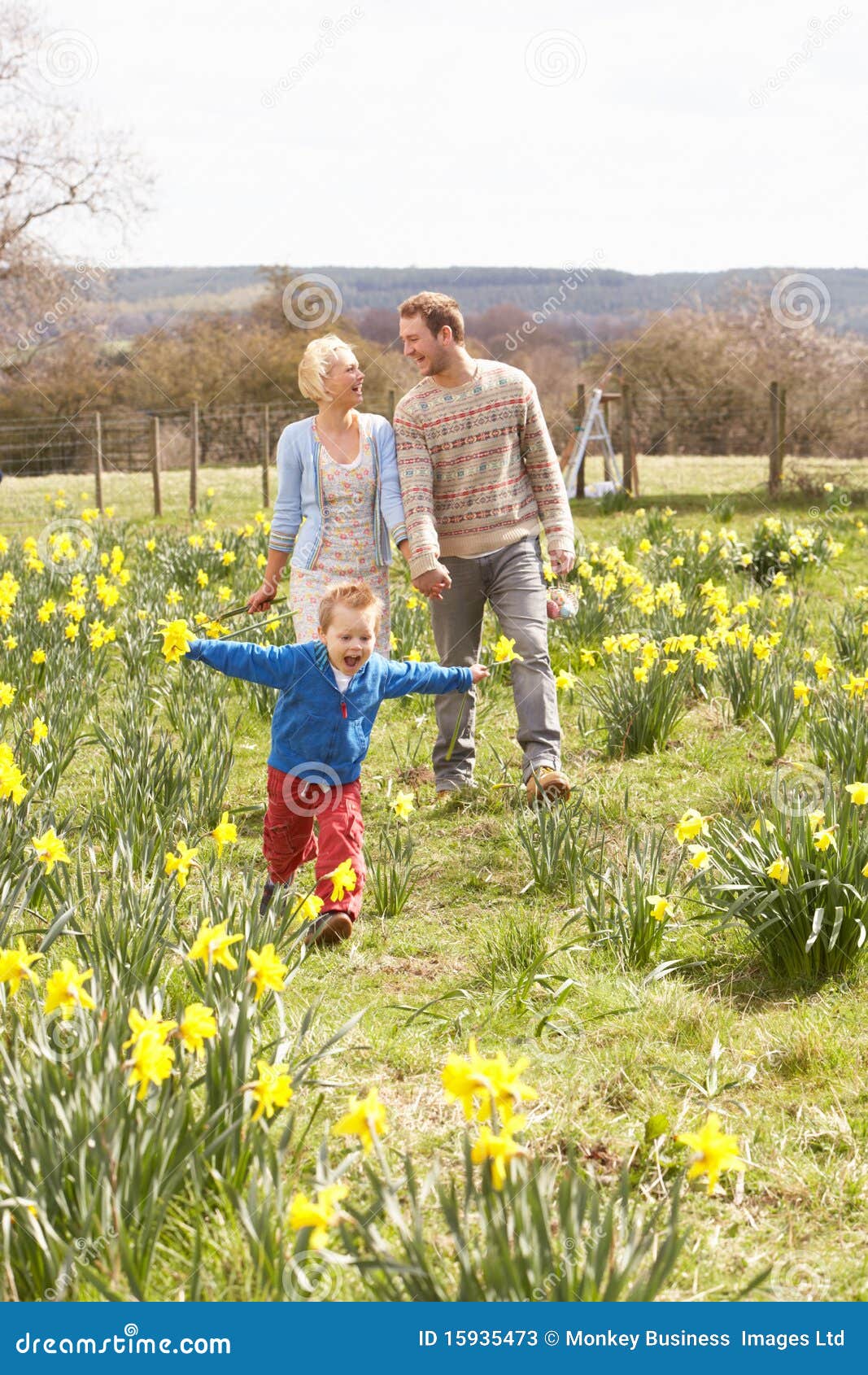 Young Family Walking Amongst Spring Daffodils Stock Image - Image of ...