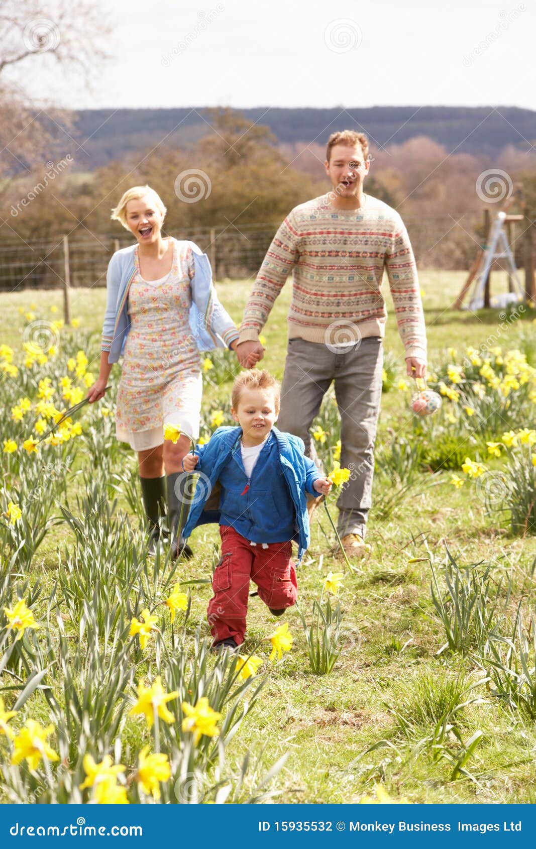 Young Family Walking Amongst Spring Daffodils Stock Photo - Image of ...