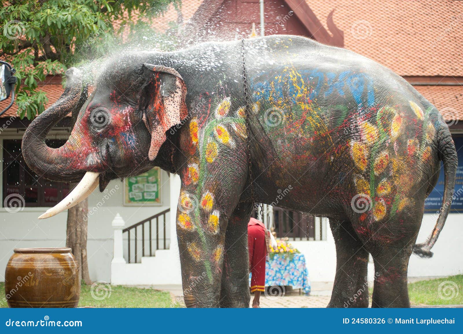 Young Fancy Elephant Playing Water. Stock Photo - Image of festival ...