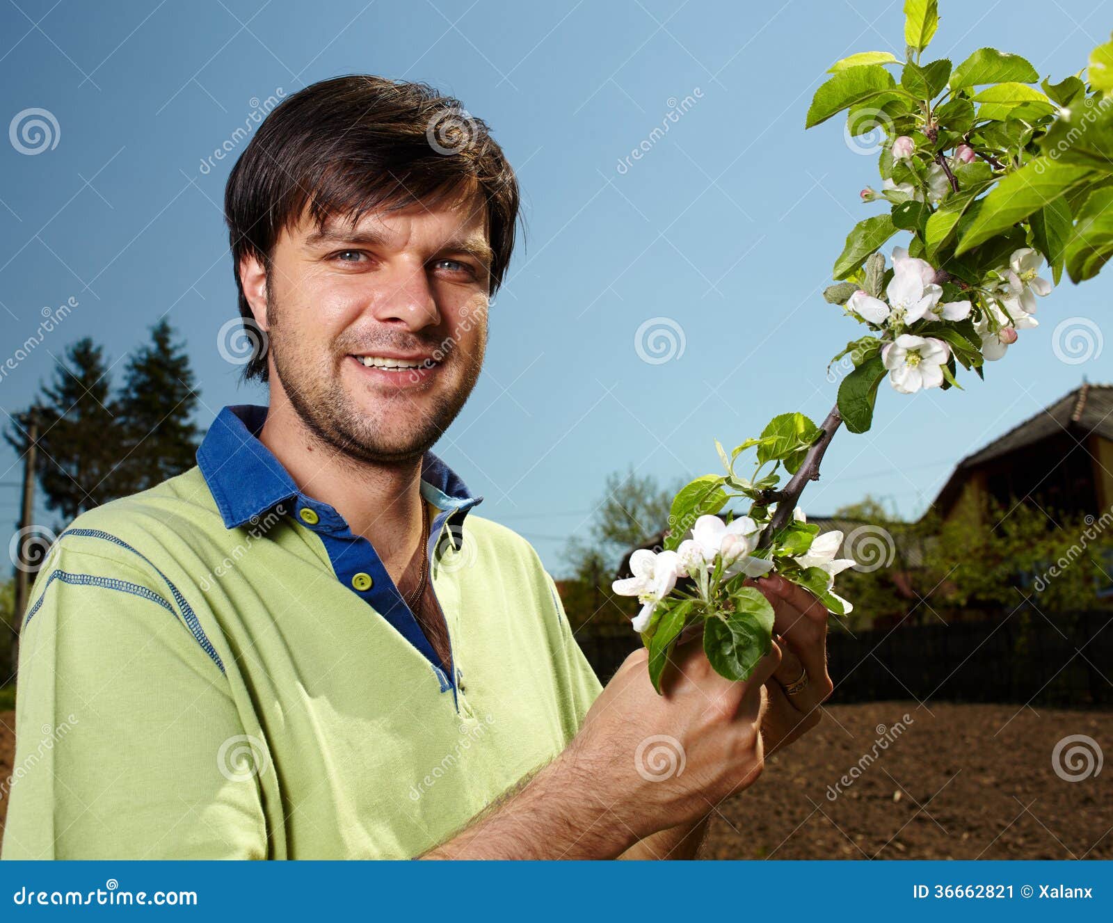 Young Farmer with an Apple Tree Stock Image - Image of leaves ...