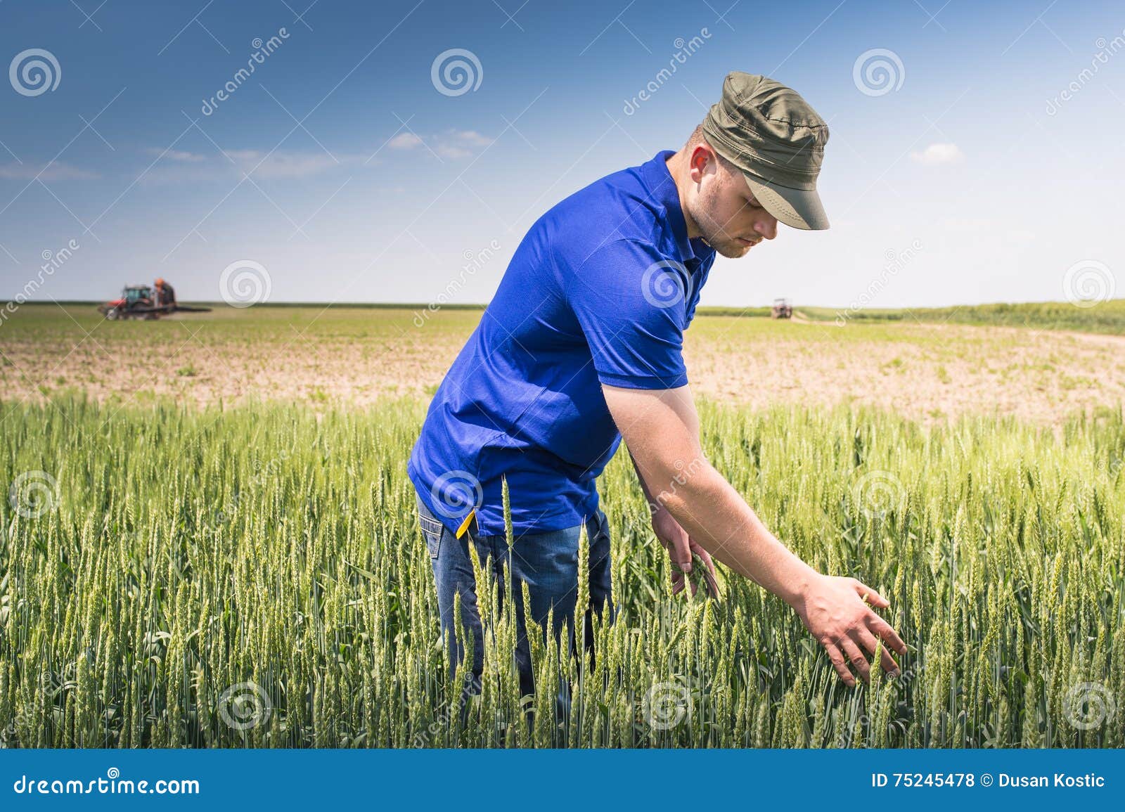 Young farmer in a field stock photo. Image of pride, happy - 75245478