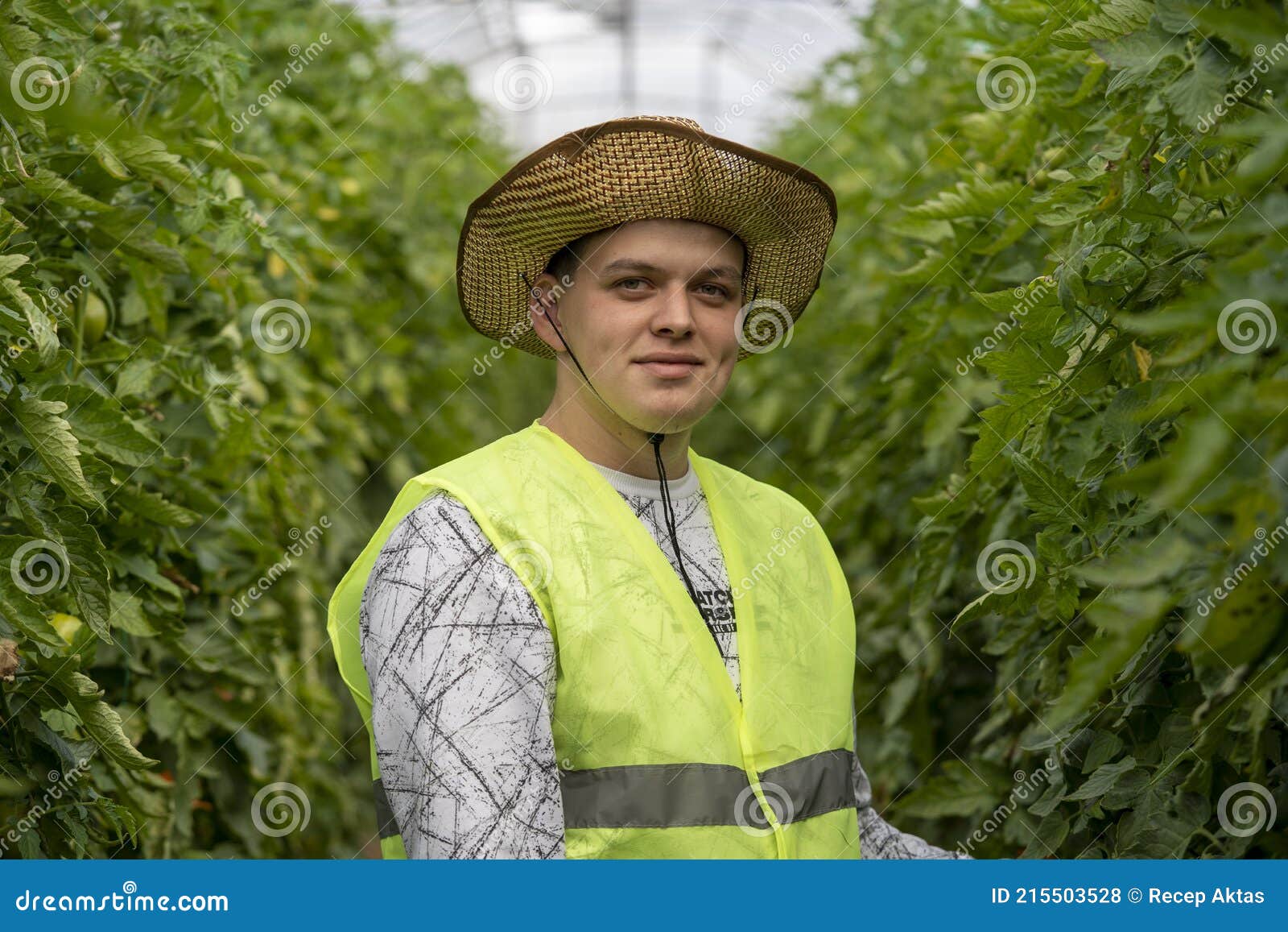 A Young Farmer in Greenhouse. Stock Photo - Image of leaf, organic ...