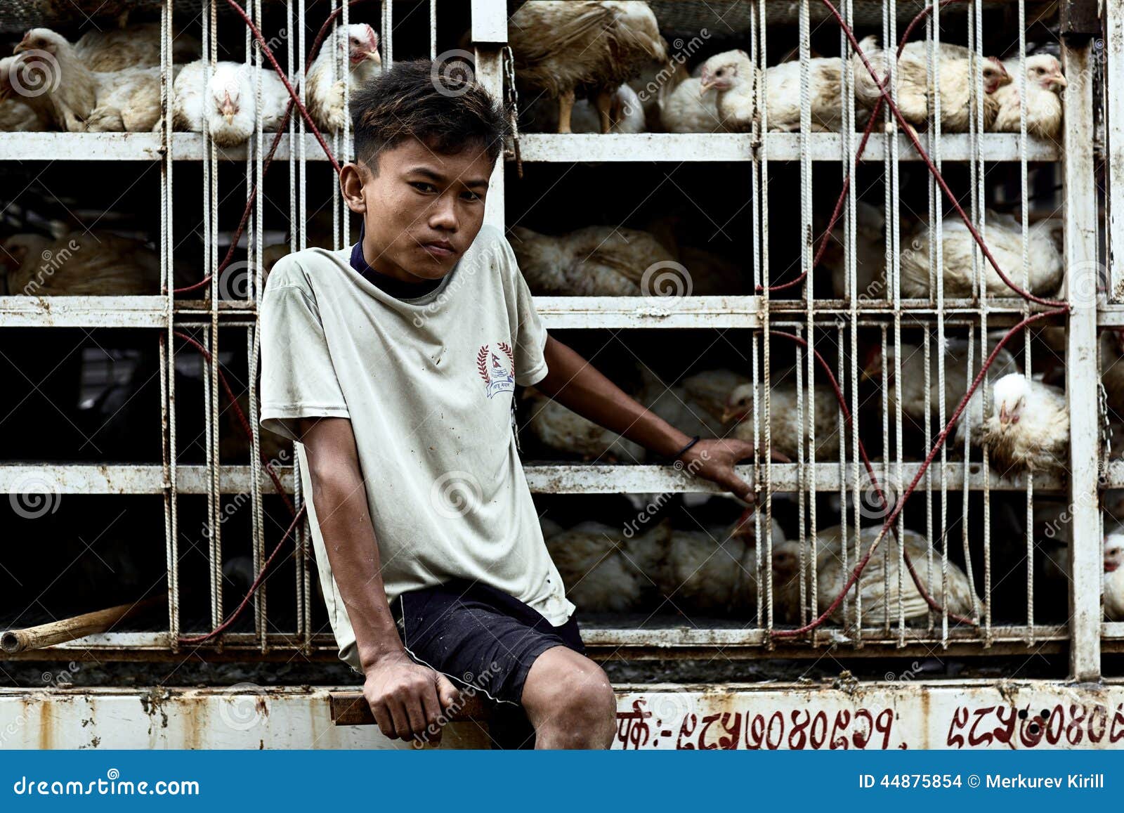 Young farmer editorial stock image. Image of street, young - 44875854