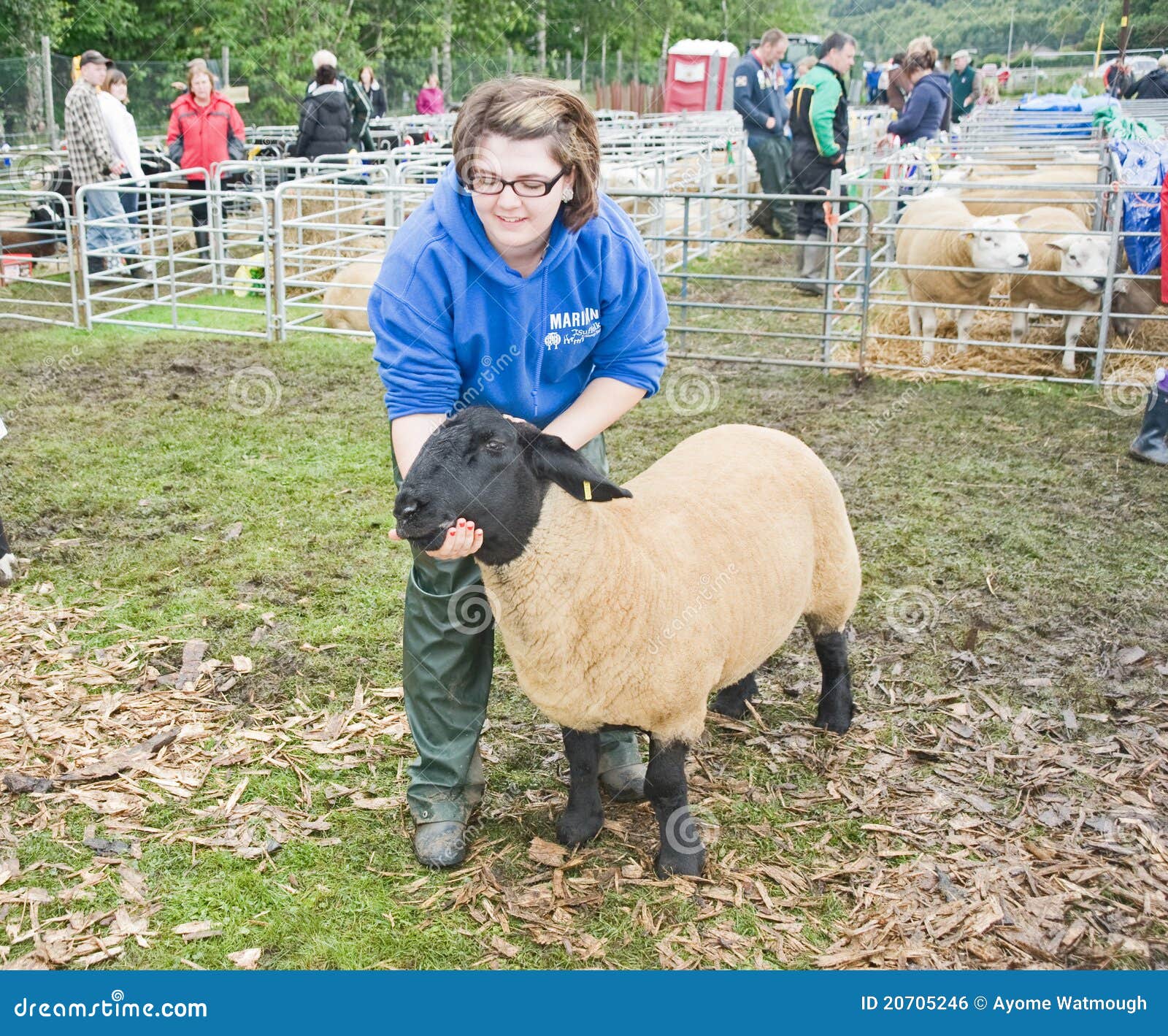 Young Farmer Presenting Her Sheep at Granmtown. Editorial Photo - Image ...