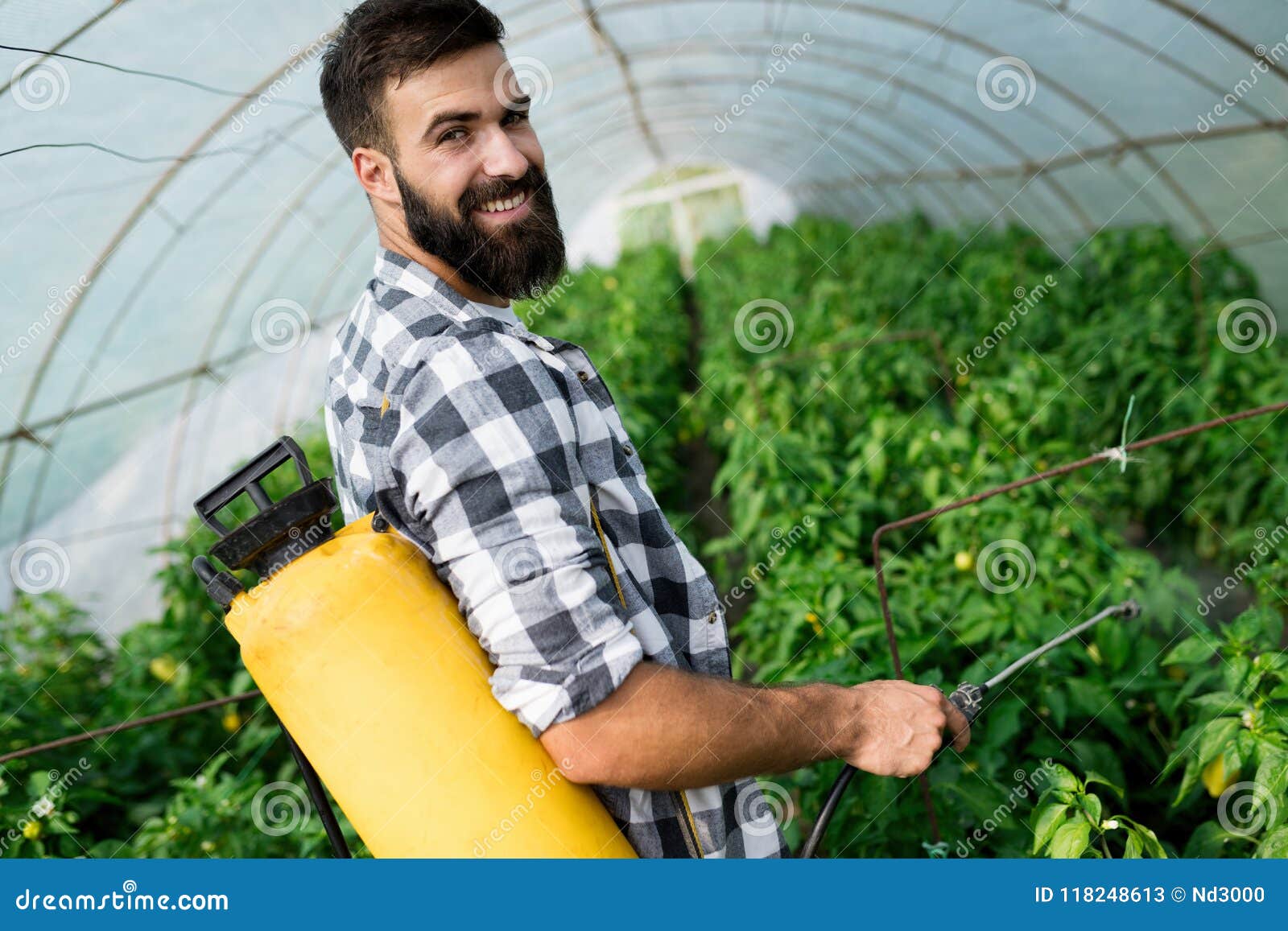 Young Farmer Protecting His Plants Stock Image - Image of food, farming ...