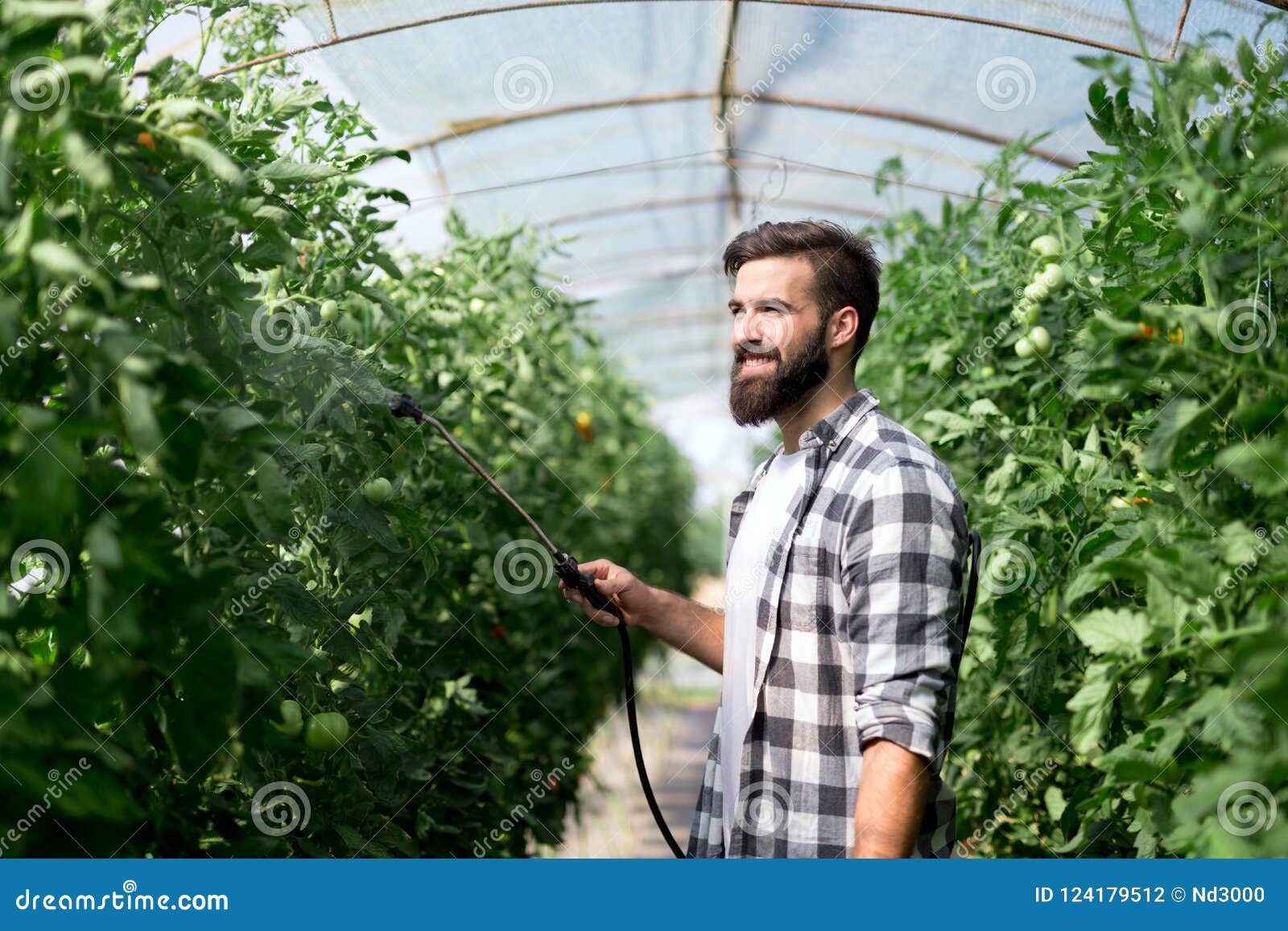 Young Farmer Protecting His Plants Stock Photo - Image of achievement ...