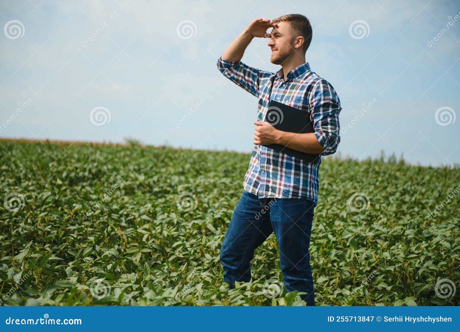 Young Farmer in Soybean Fields Stock Image - Image of nature, engineer ...