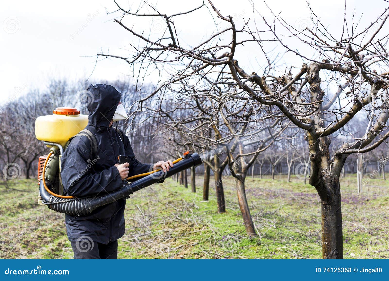 Young Farmer Spraying the Trees with Chemicals Stock Photo - Image of ...