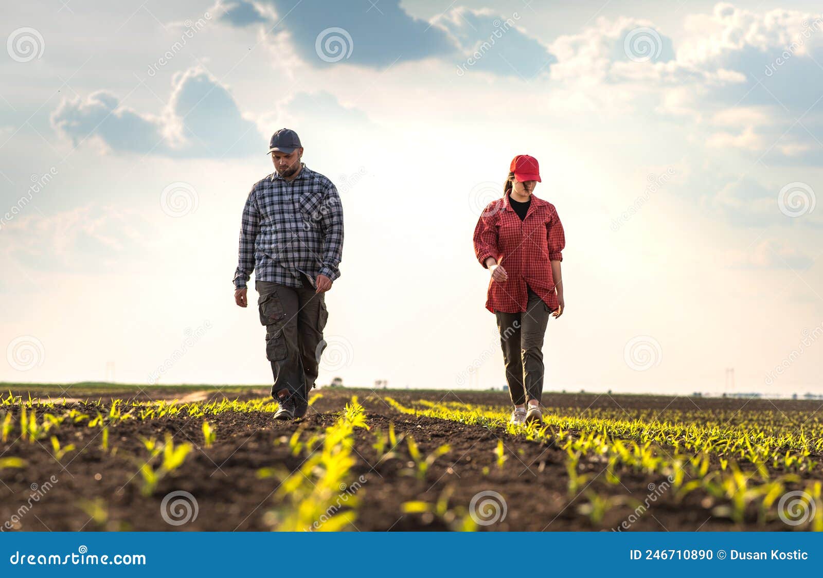 Two Young Farmers Shake Hands On The Background Of The Soil In The ...