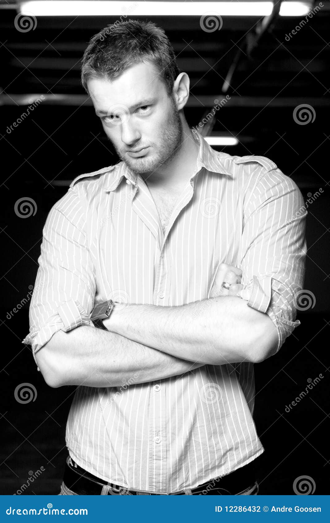 A young fashion model stock photo. Image of bright, smiling - 12286432