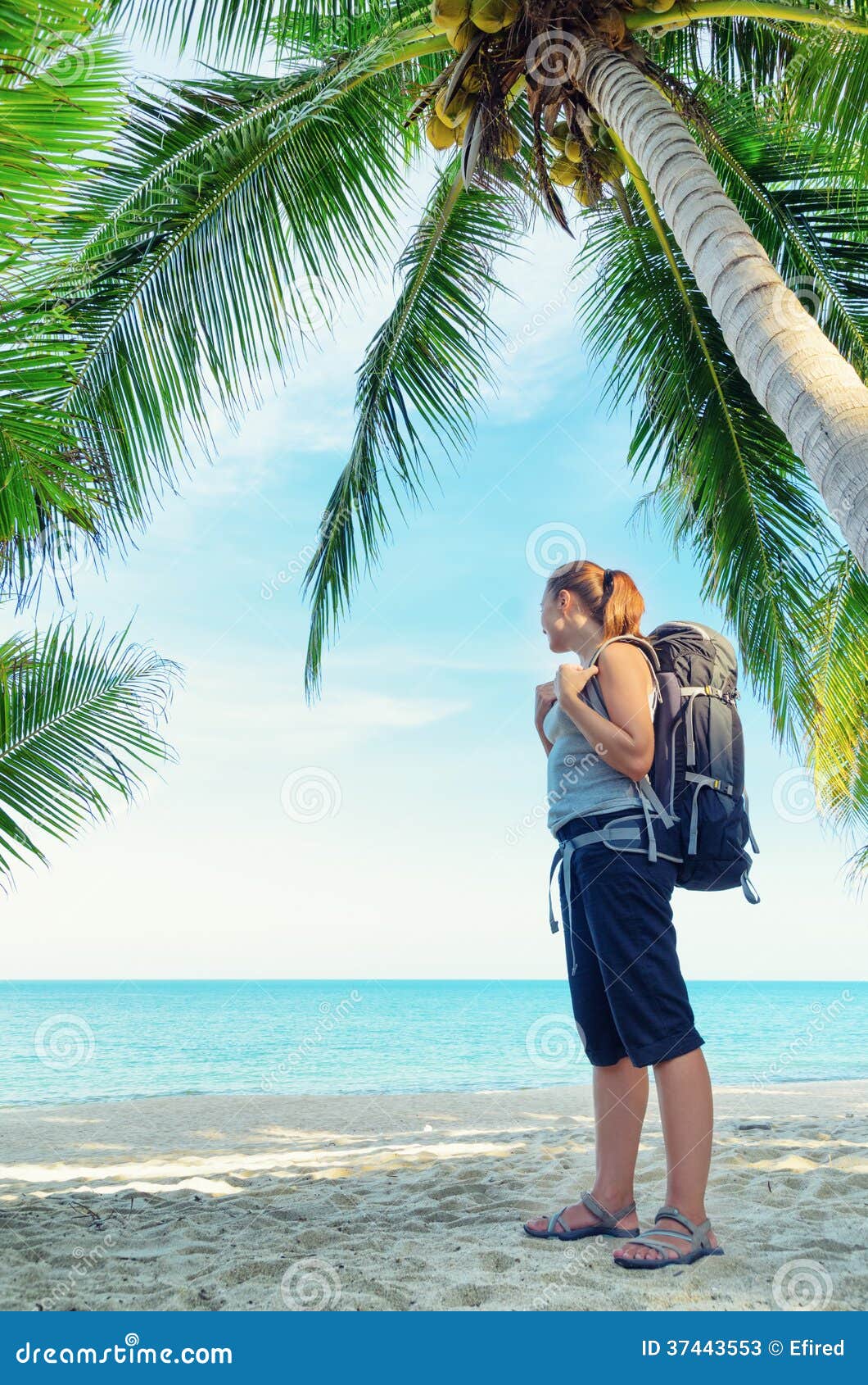 Young Female Backpacker on a Beach Stock Image - Image of nature ...