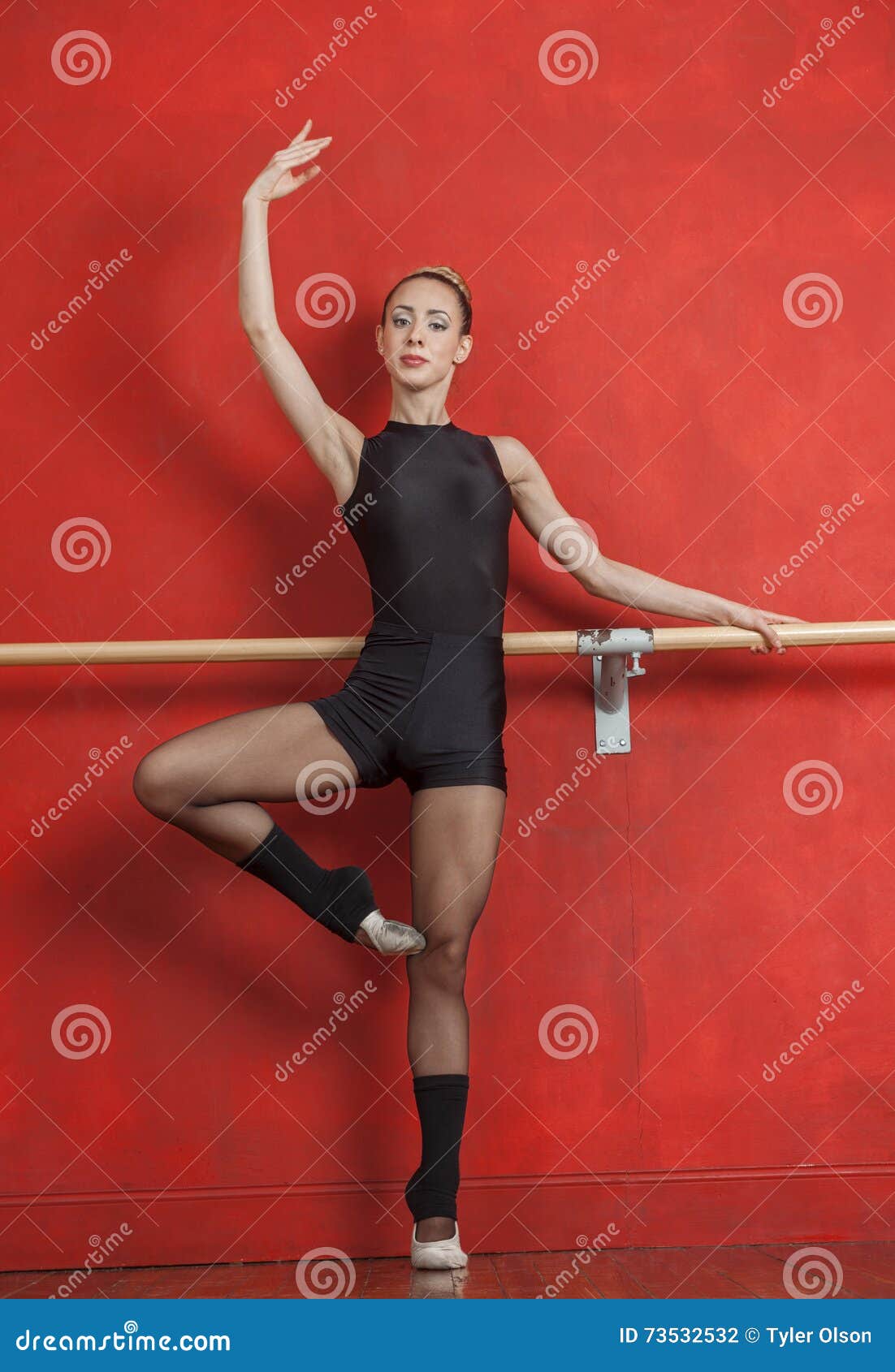 528 Young Female Ballet Dancer Dancing Bar Stock Photos - Free ...