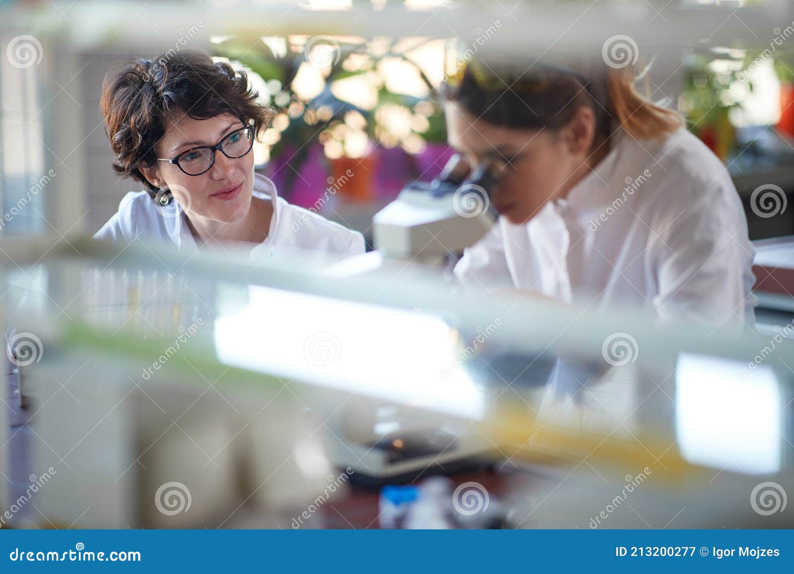 Young Female Chemistry Students Work with a Microscope in a Laboratory ...
