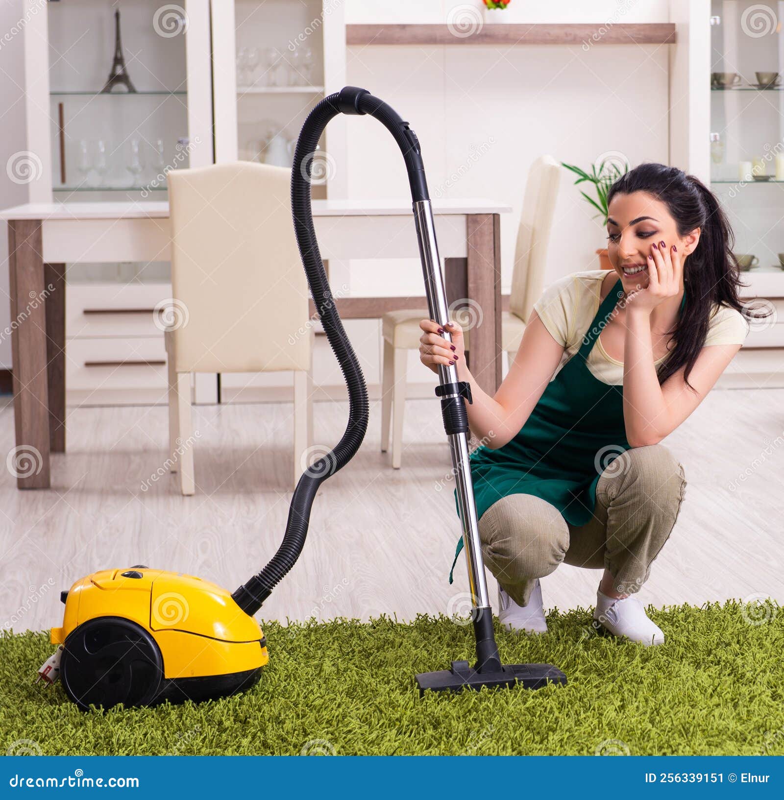 Young Female Contractor Doing Housework Stock Image - Image of cleanup ...