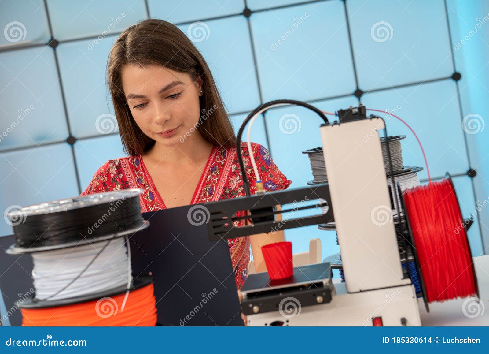Young Female Designer Works with a Home 3D Printers Stock Photo - Image ...