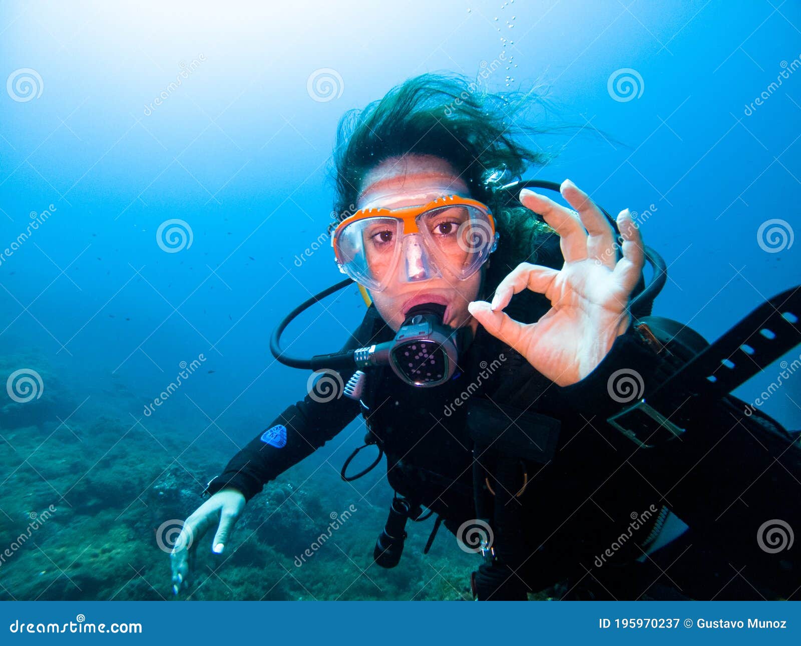 A Young Female Diver Making OK Sign Underwater Looking at the Camera ...
