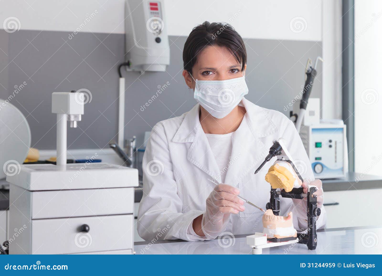 Young Female Doctor Working on Dental Prosthesis Laboratory Stock Image ...
