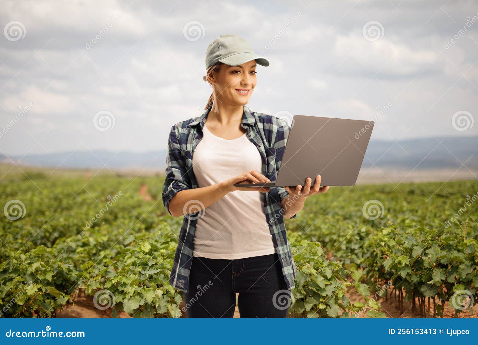 Young Female Farmer Working on a Laptop Computer on a Grapevine Field ...