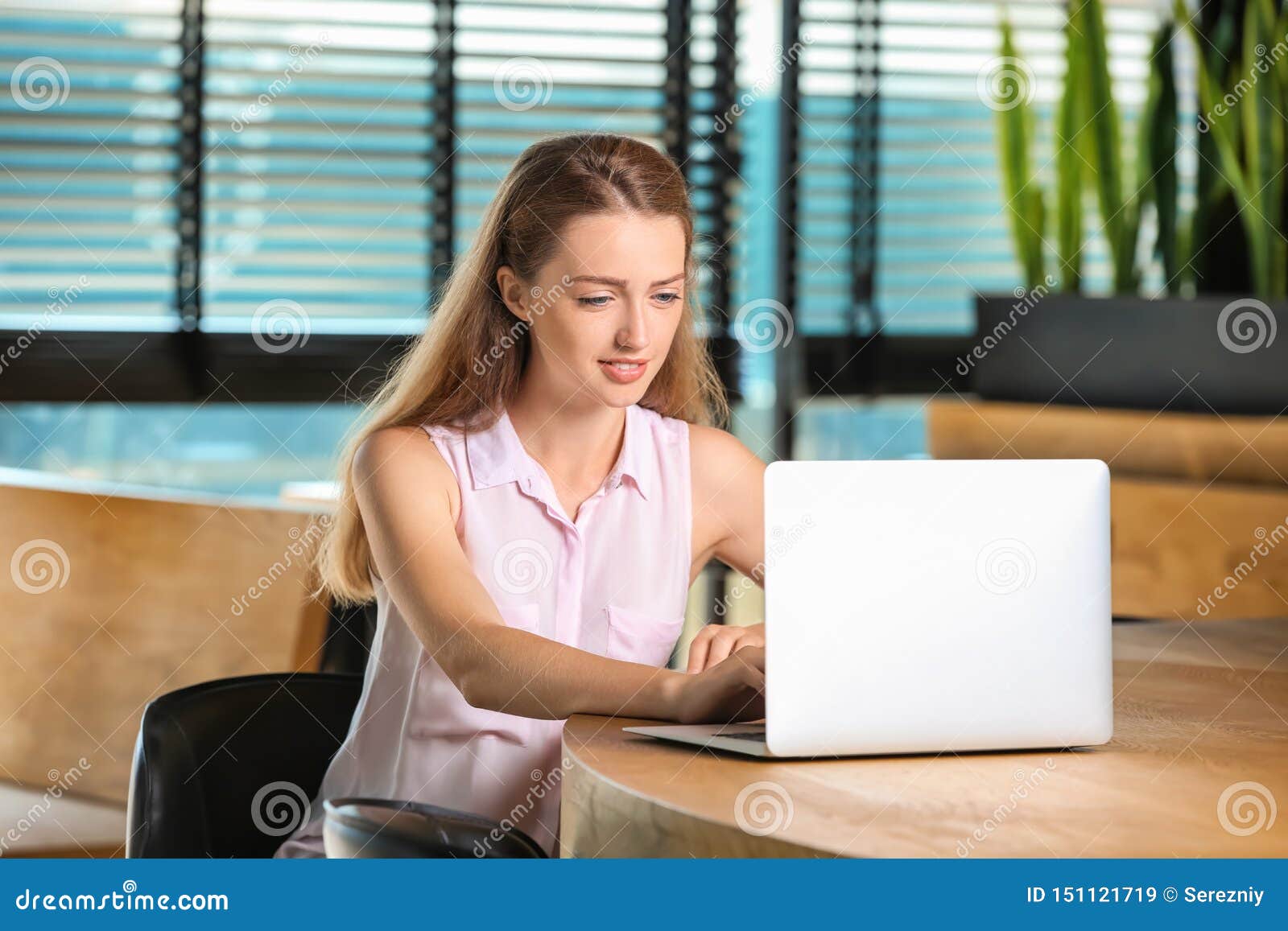 Young Female Freelancer with Laptop Working in Cafe Stock Image - Image ...