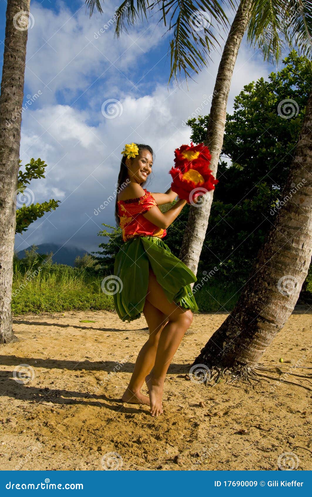 Young female Hula dancer stock image. Image of costume - 17690009