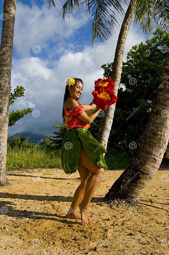 Young female Hula dancer stock image. Image of costume - 17690009