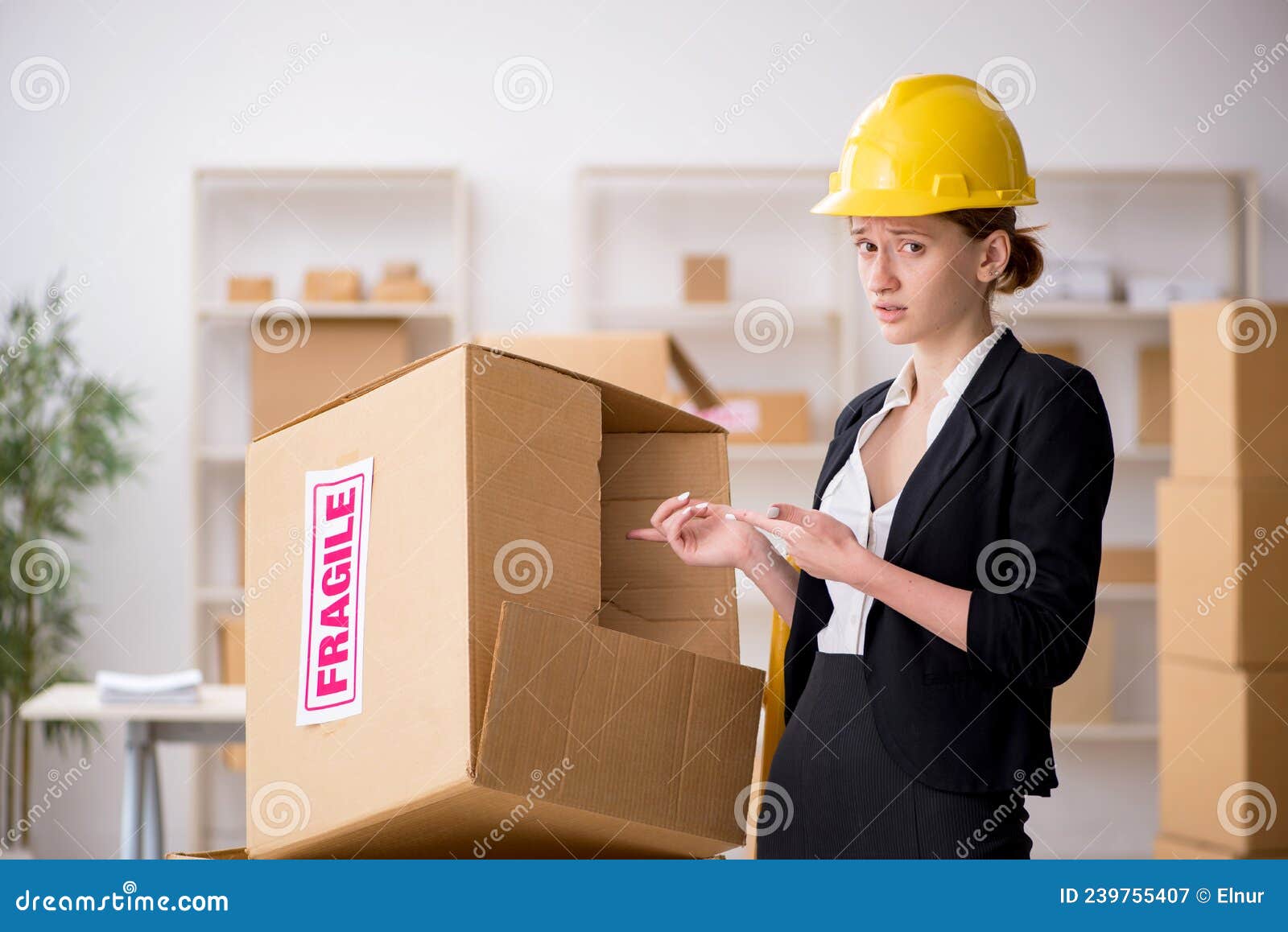 Young Female Professional Mover Doing Home Relocation Stock Image ...