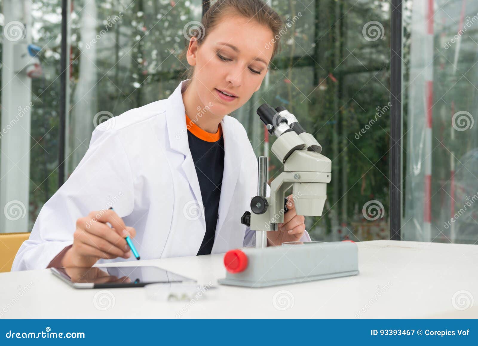 Young Female Researcher Using Microscope and Digital Tablet at T Stock ...