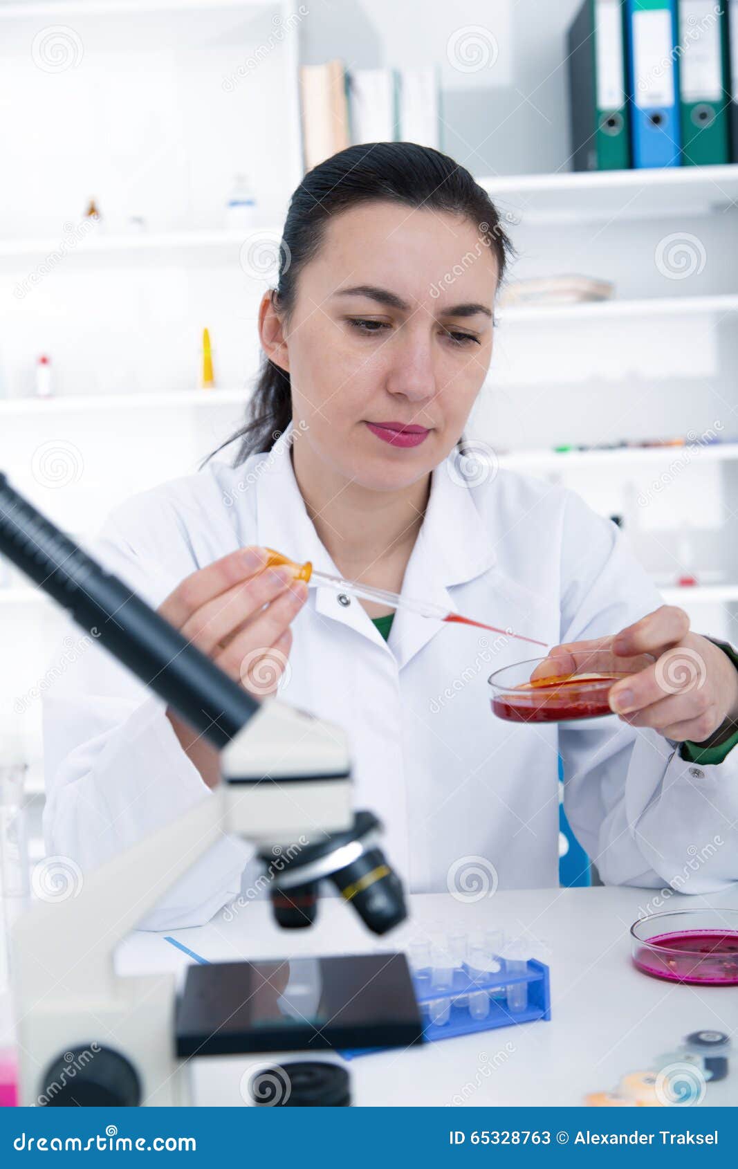 Young Female Scientist Analyzing Sample in Laboratory.laboratory ...