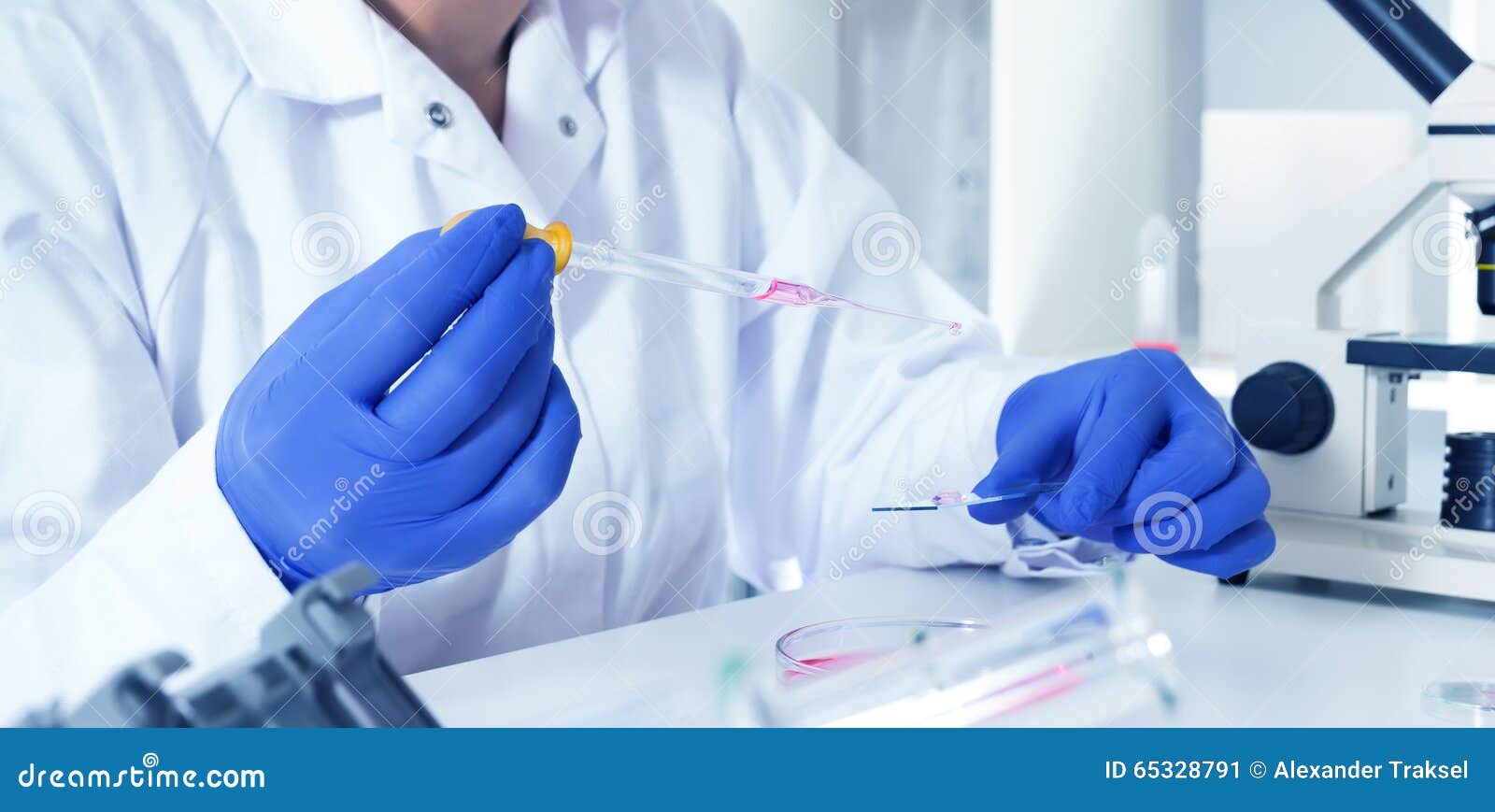 Young Female Scientist Analyzing Sample in Laboratory.laboratory ...