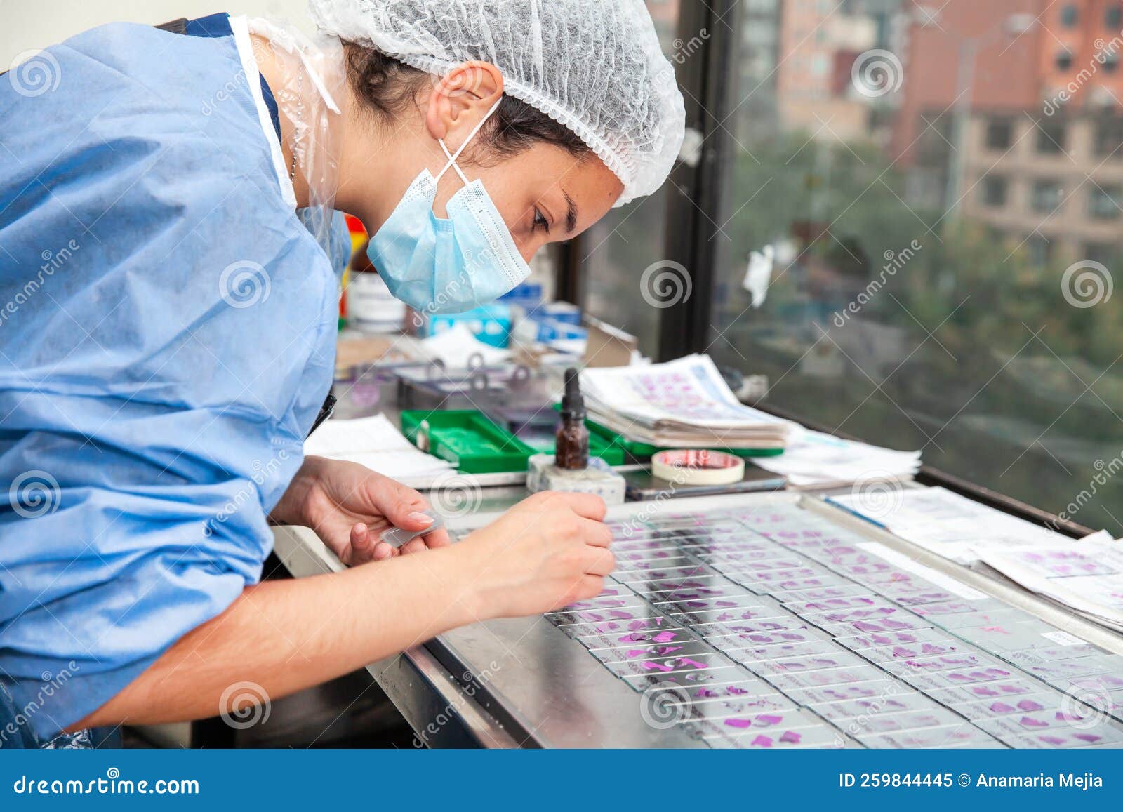 Young Female Scientist Preparing Slides with Paraffin-embedded Sections for Pathological ...