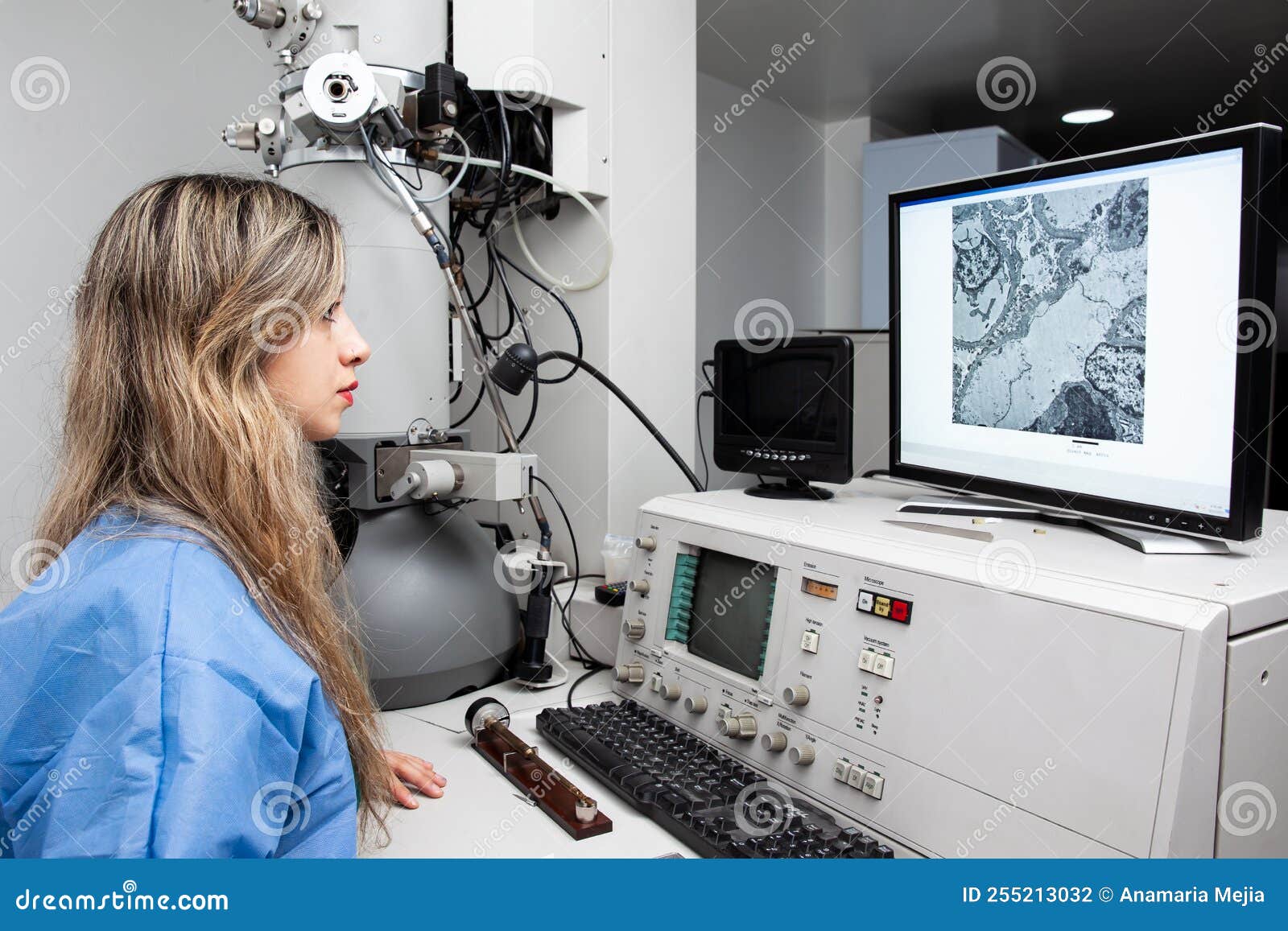 Young Female Scientist Working at the Laboratory with an Electron ...