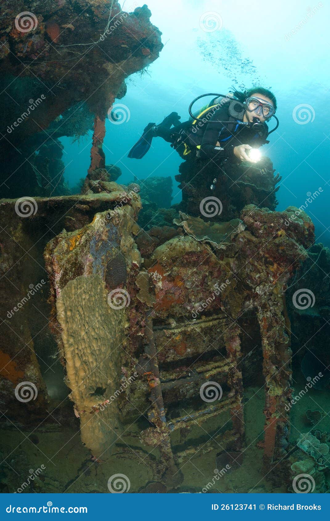 Young Female SCUBA Diver Explores Shipwreck Stock Image - Image of ...