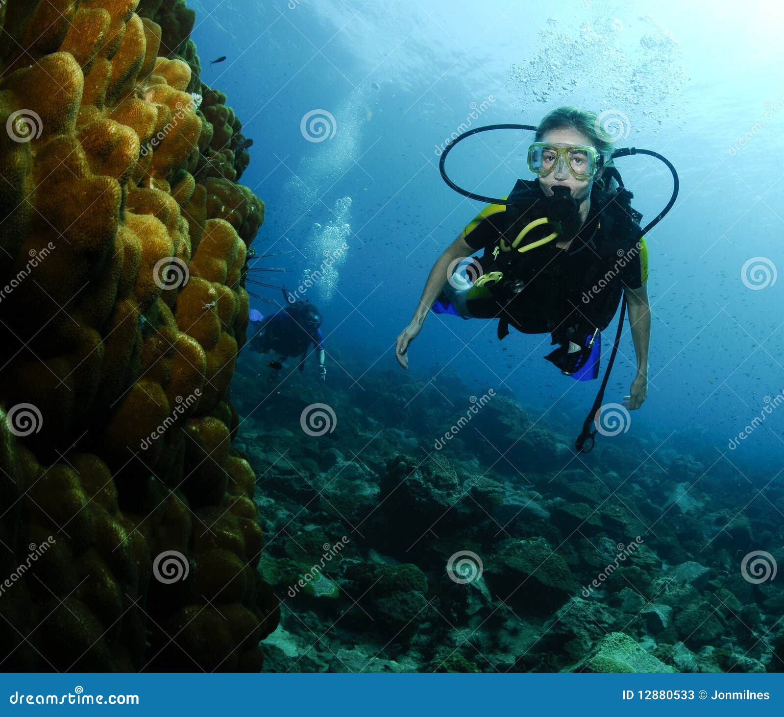 Young Female Scuba Diver Portrait Stock Image - Image of hard, portrait ...