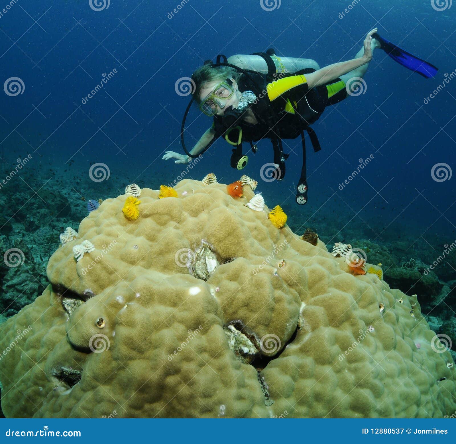 Young Female Scuba Diver Portrait Stock Image - Image of colorful ...