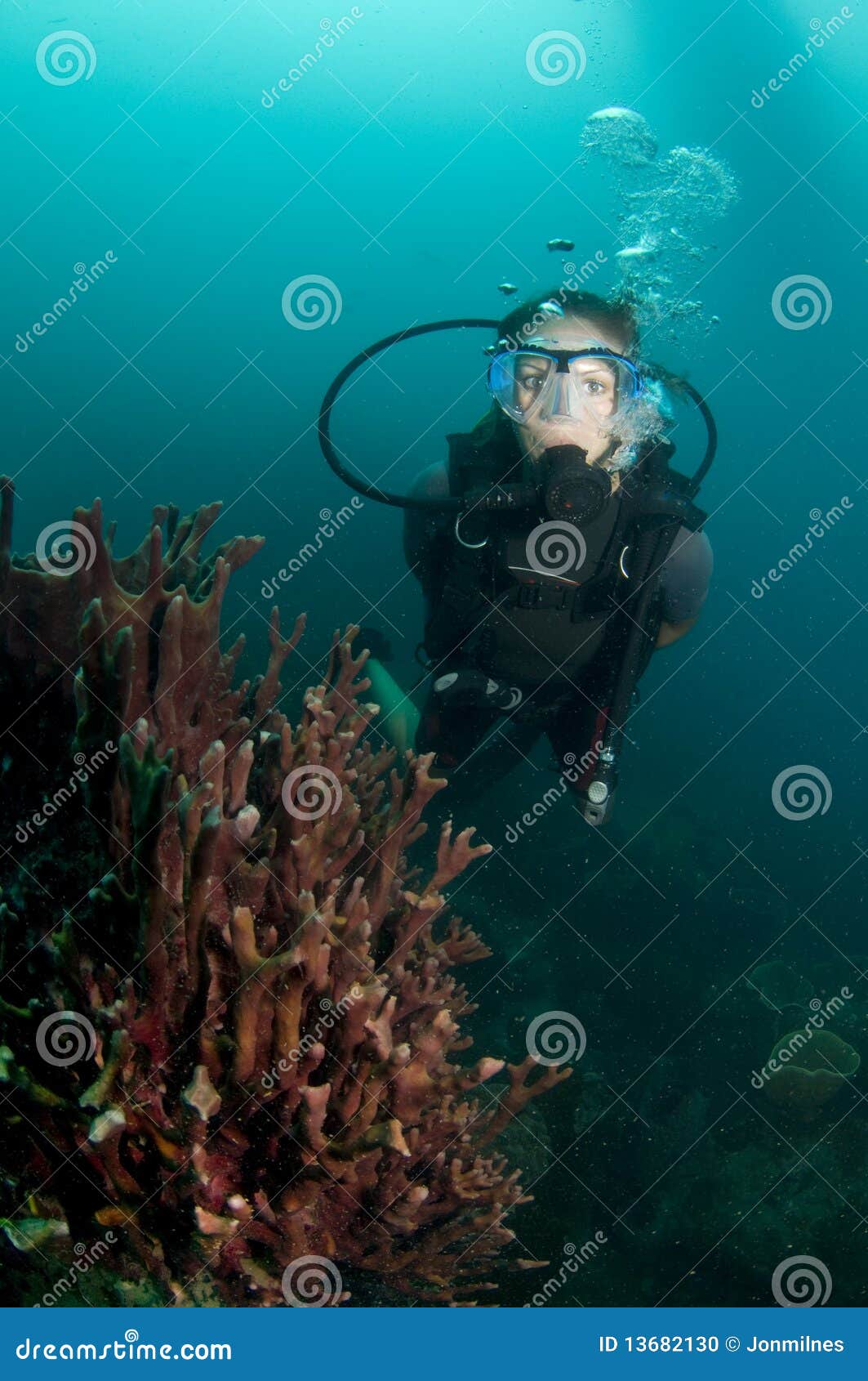 Young Female Scuba Diver Swims Over Reef Stock Photo - Image of female ...