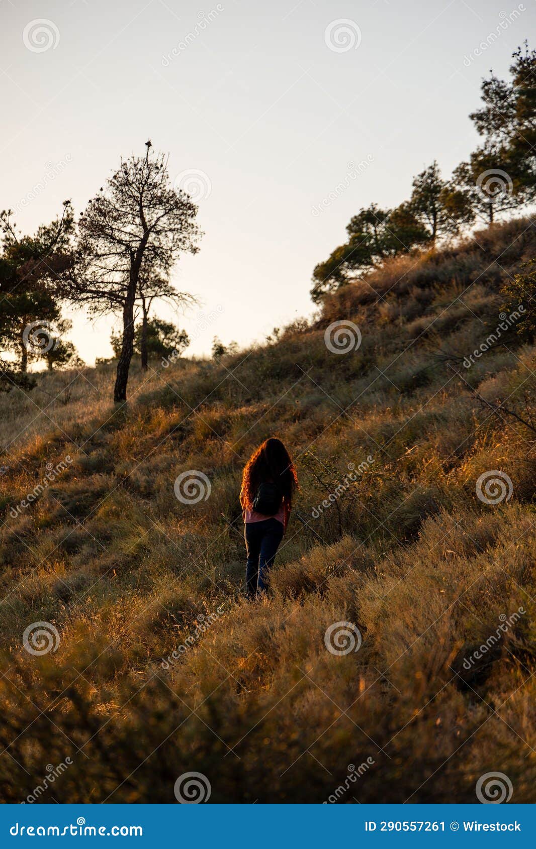 Young Female Stands Alone in a Wooded Area Stock Image - Image of trees ...