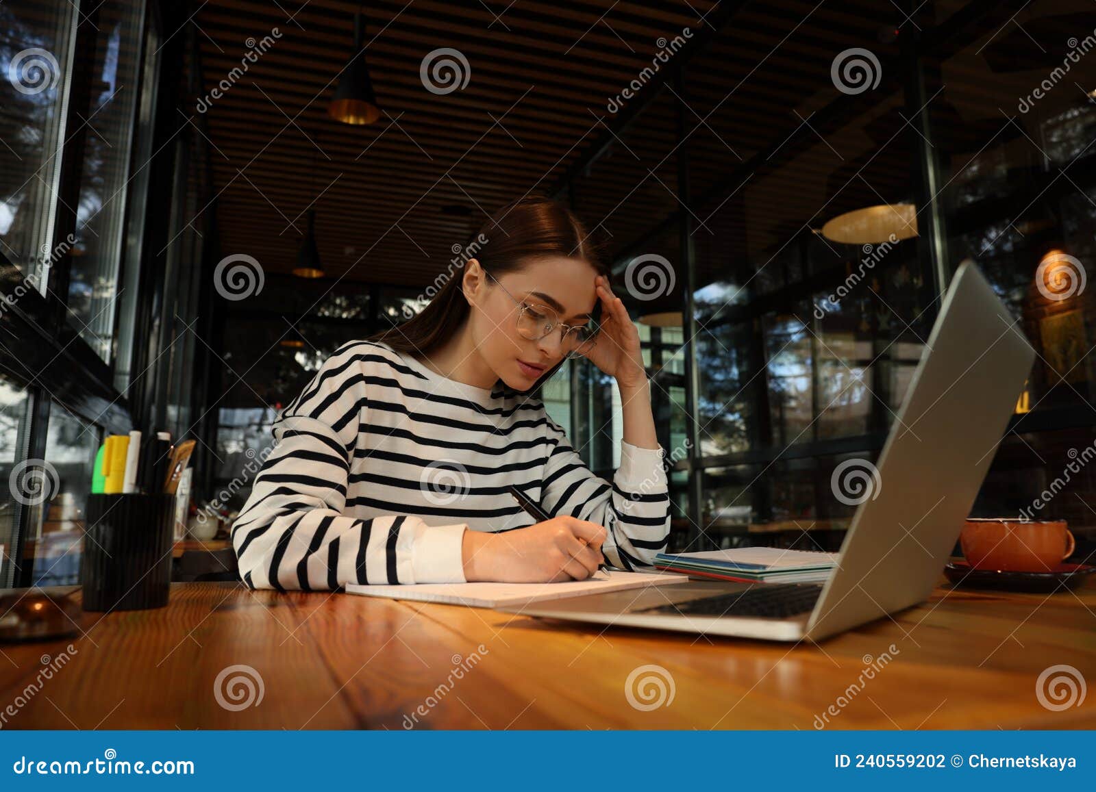 Young Female Student with Laptop Studying at Table in Cafe Stock Photo ...