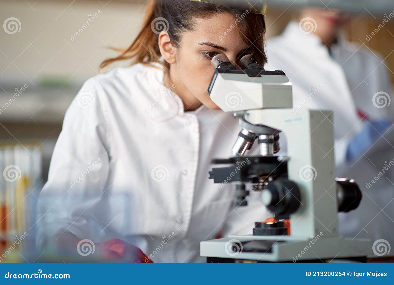 A Young Female Student Using a Microscope in a Laboratory. Science ...