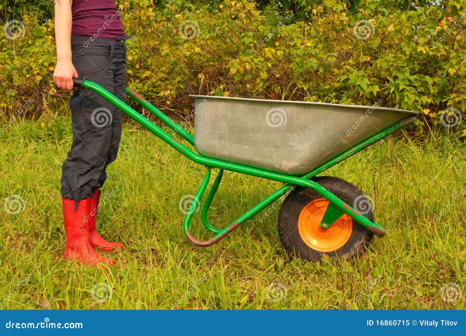 Young Female with a Wheelbarrow Stock Image - Image of outdoors, front ...