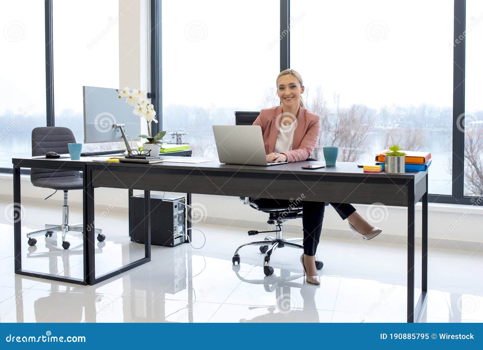 Young Female Working with the Laptop at the Office Stock Image - Image ...