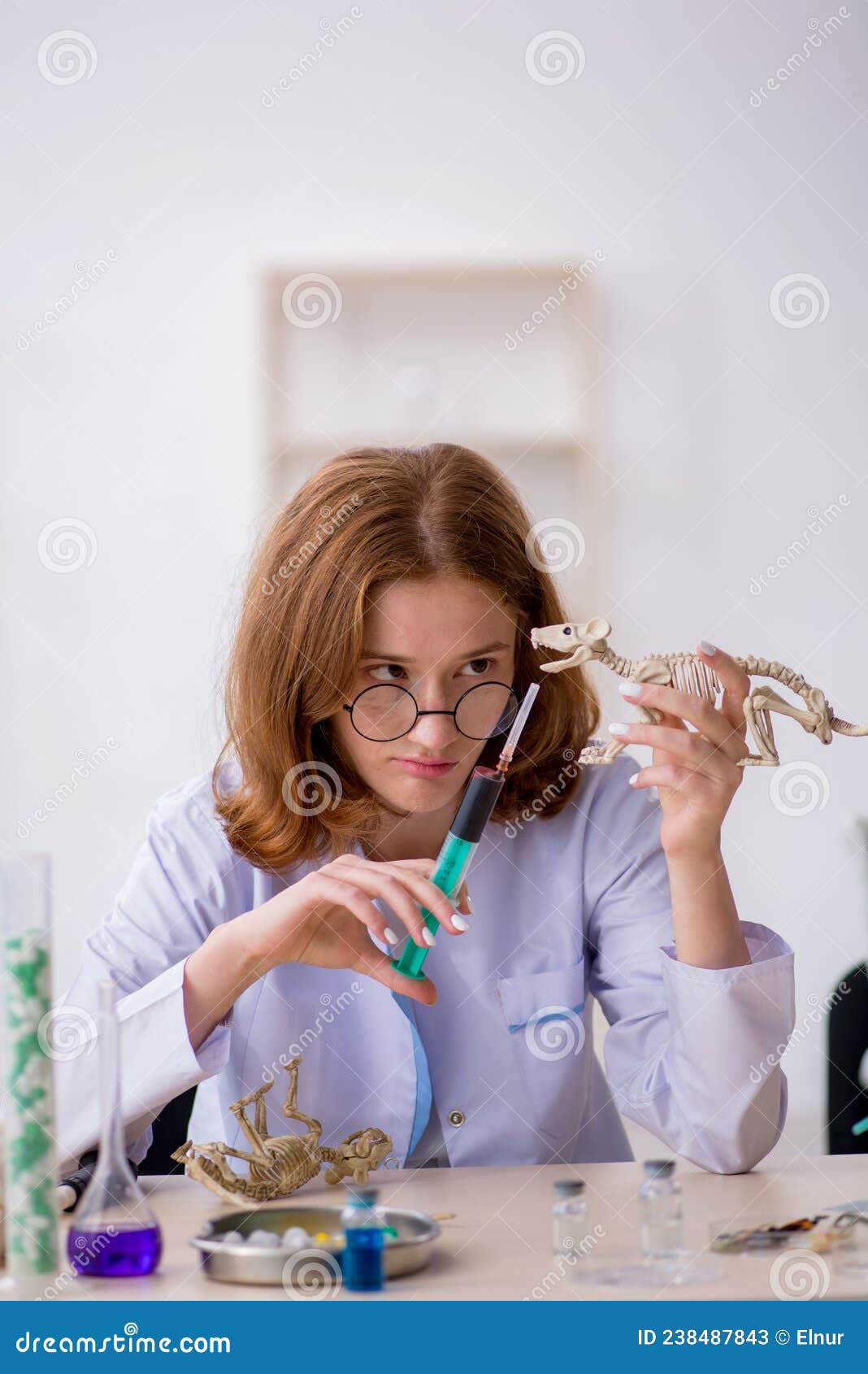 Young Female Zoologist Working at the Lab Stock Image - Image of ...