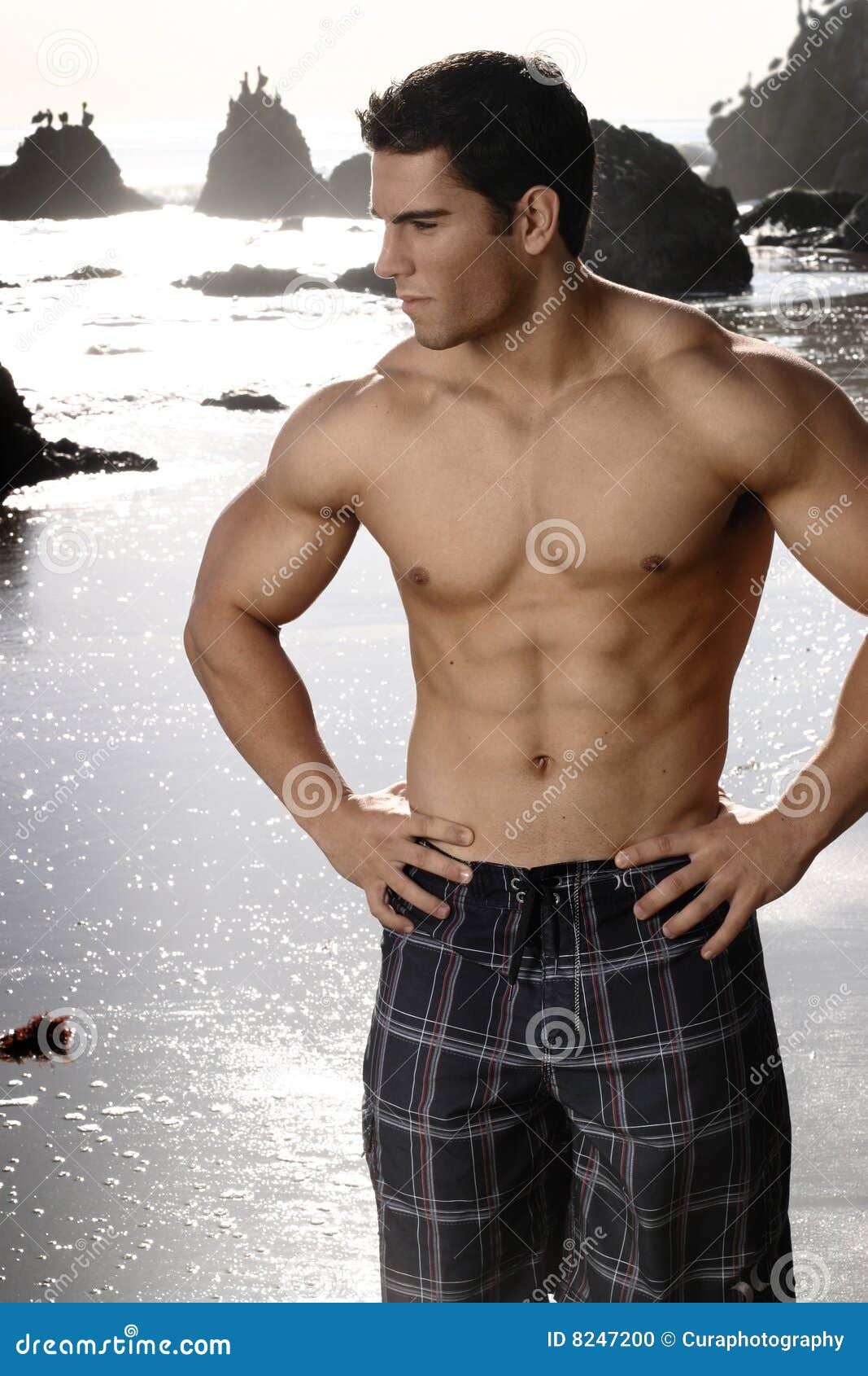 Young Fit Man stock photo. Image of male, hunk, good, masculine - 8247200