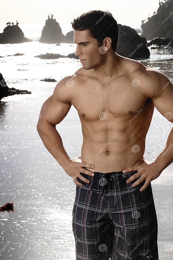 Young Fit Man stock photo. Image of male, hunk, good, masculine - 8247200