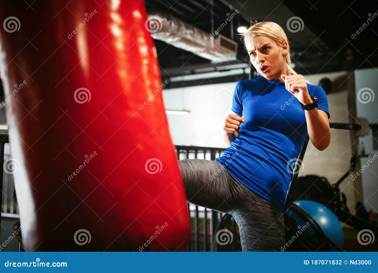 Young Woman Boxing and Training in a Gym Stock Photo - Image of ...