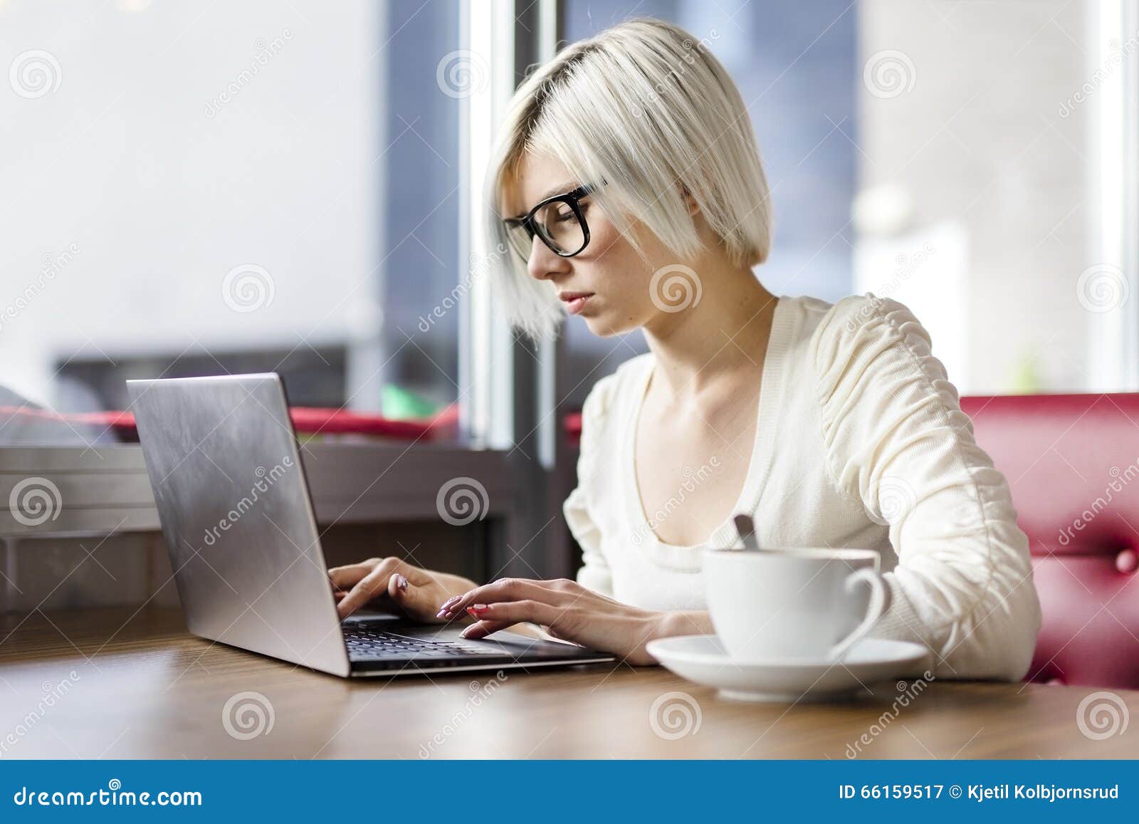 Young Focused Woman Working with Laptop Computer in Cafe Stock Image ...