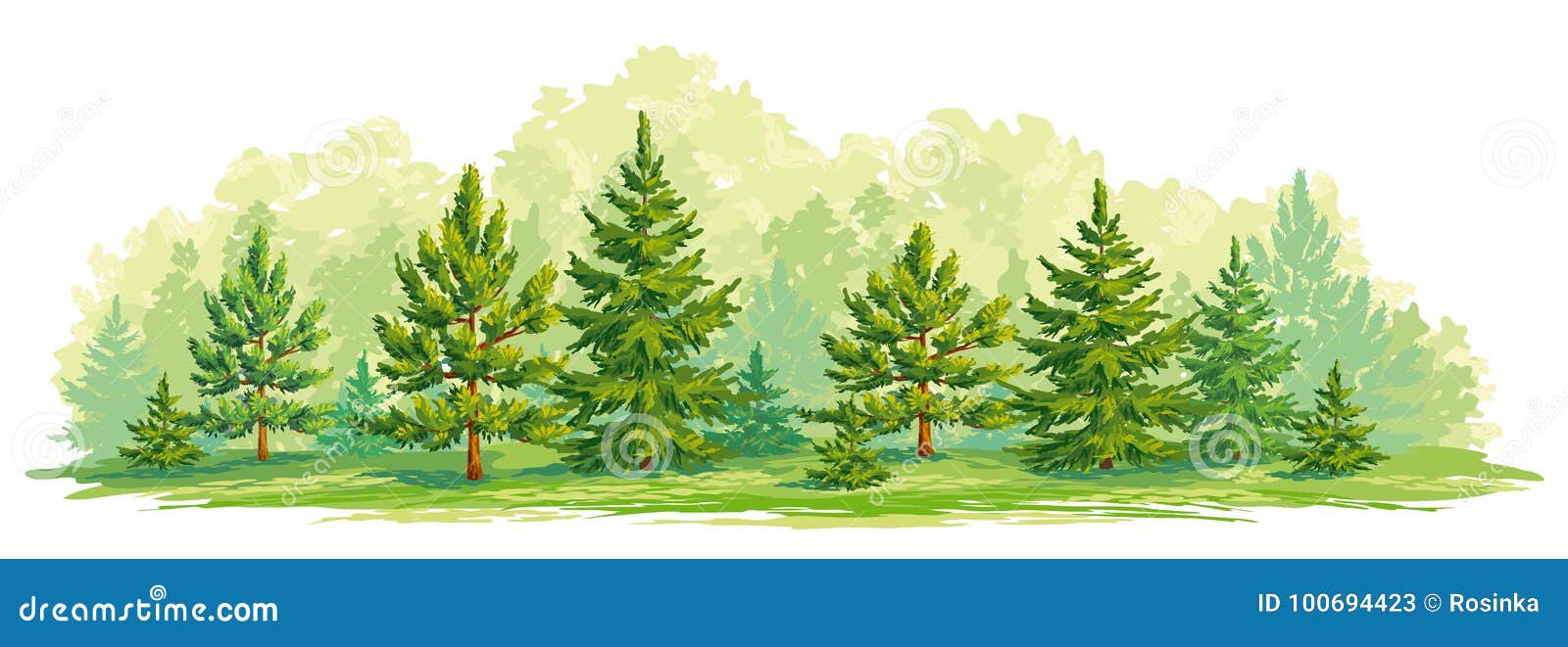 Young Forest of Pine and Fir Trees- Vector Graphic Stock Vector ...