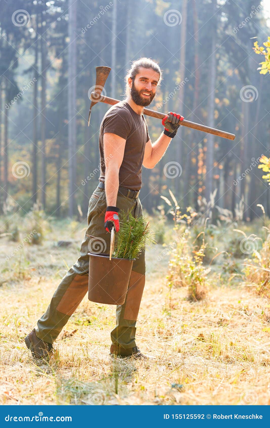 Young Forest Worker at the Afforestation Stock Photo - Image of timber ...